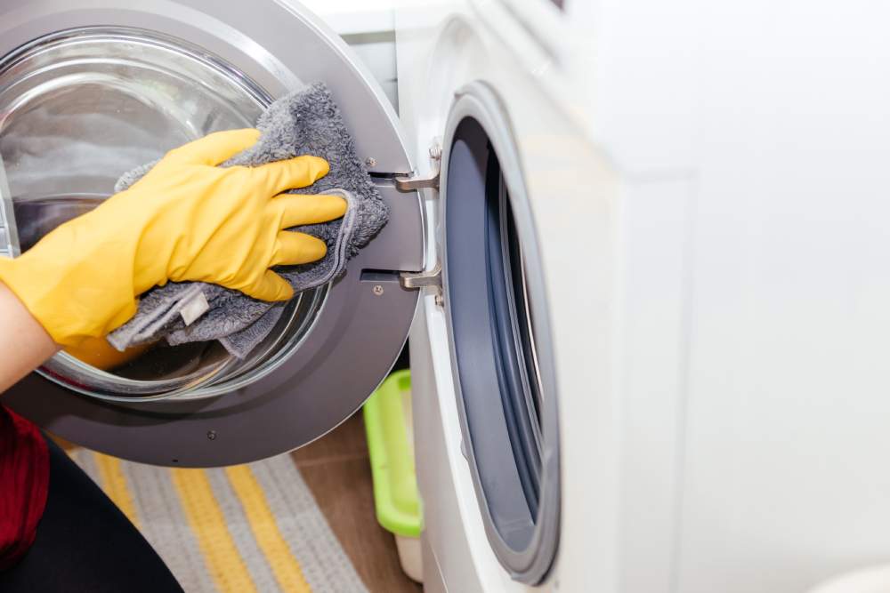 How to Rid Your Washing Machine of Mold - AmeriClean