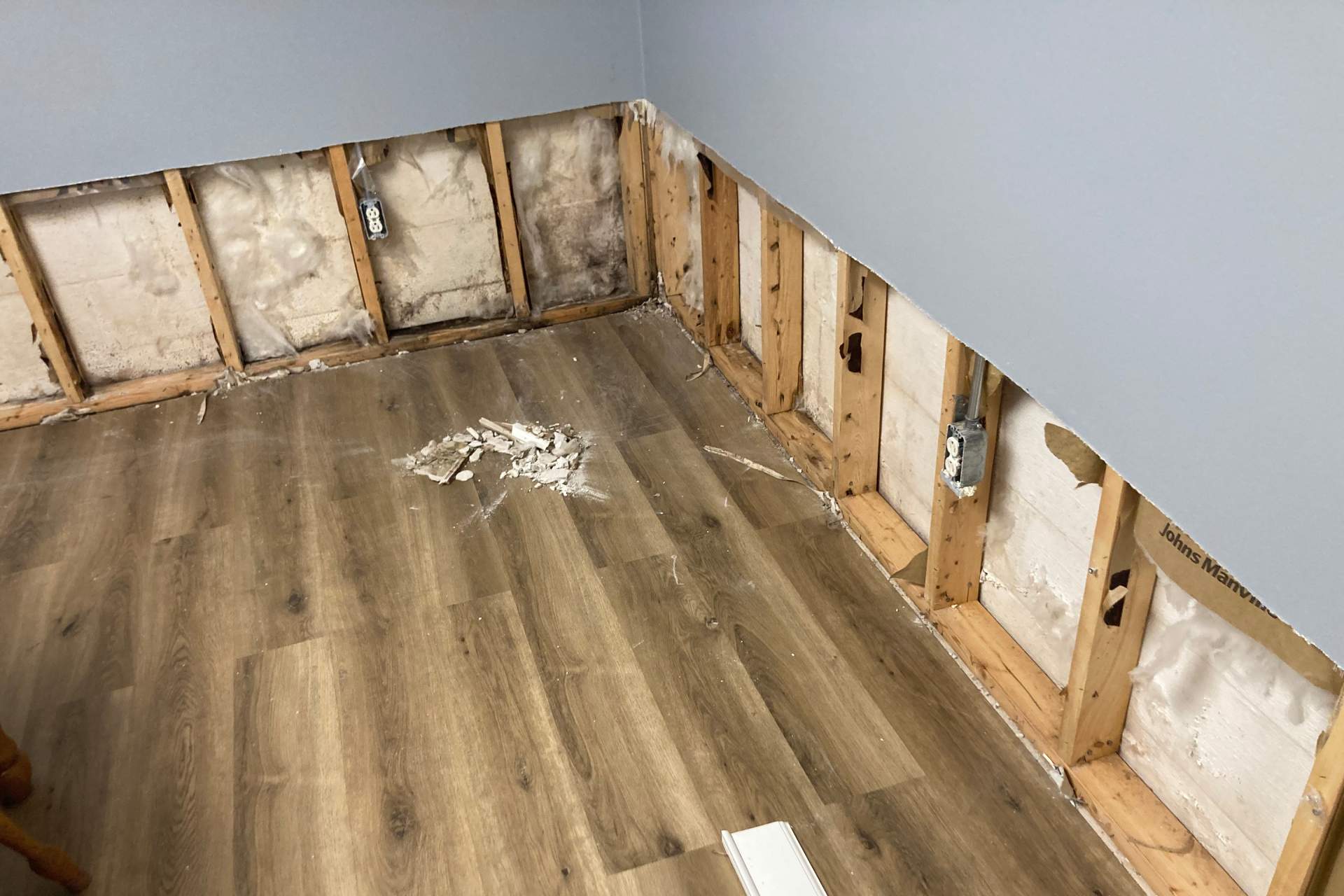 What Everybody Ought to Know about Mold | AmeriClean